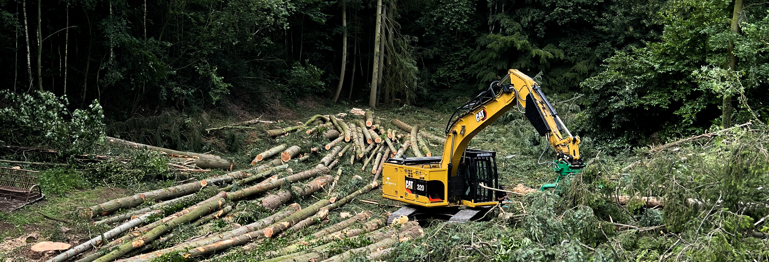 Arborex, abattage d'arbres, exploitation forestière et commerce de bois ...